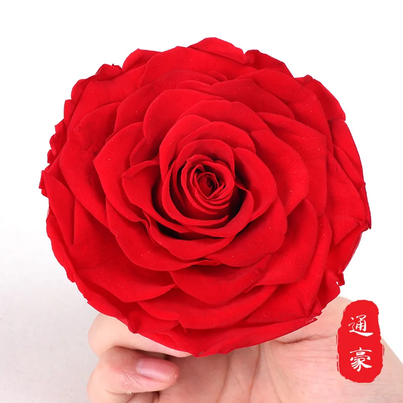 Immortal Flower 9 10cm Single Flower Giant mei gui hua tou Grade ...
