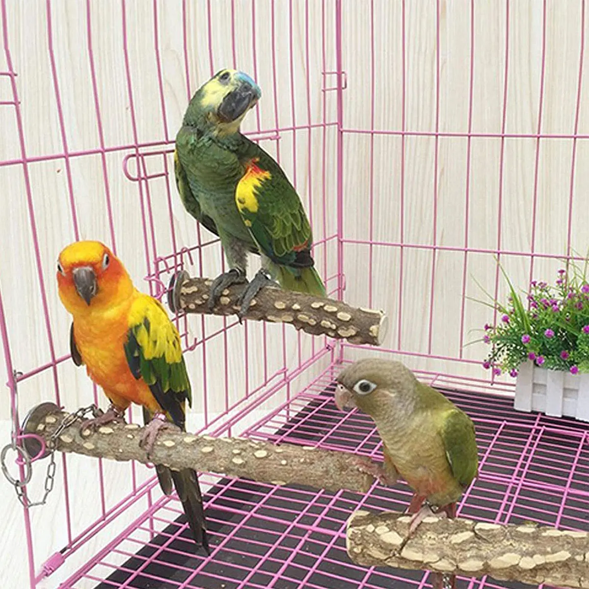 5 pcs Pet Parrot Bird Standing Stick Bird Cage Accessories - Pet Pro Store