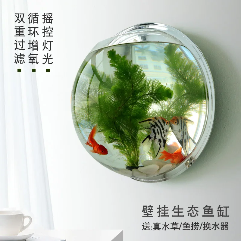 Hanging Fish Tank