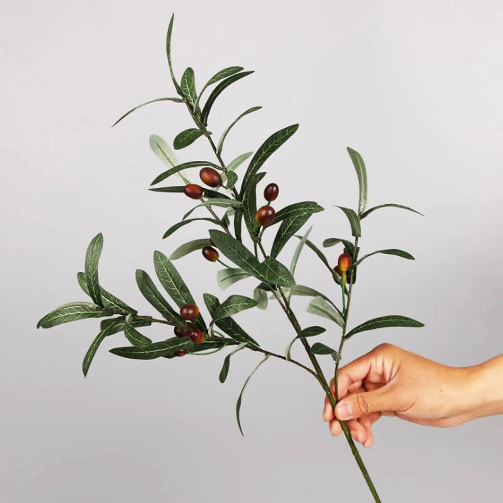 Olive Branch Flowers