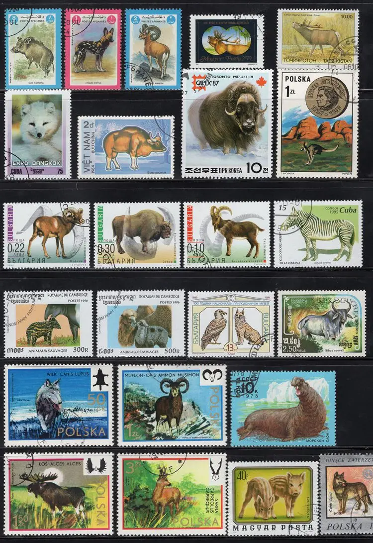 Art & Collectibles Collectibles 50 wild animals postage stamps mixed ...