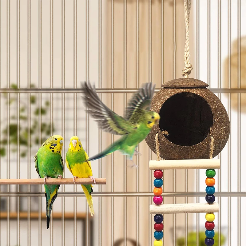 Generic Hanging Coconut Bird House with Ladder Natural Coconut Fiber ...