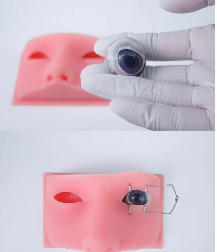 Ophthalmology-Human-Head-Model-Micromanipulation-Eyeball-Surgery ...