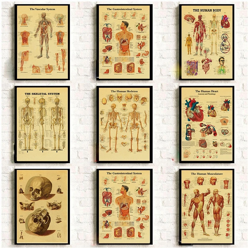 The Body Structure Skeleton Nervous System Vintage Poster Home Room ...