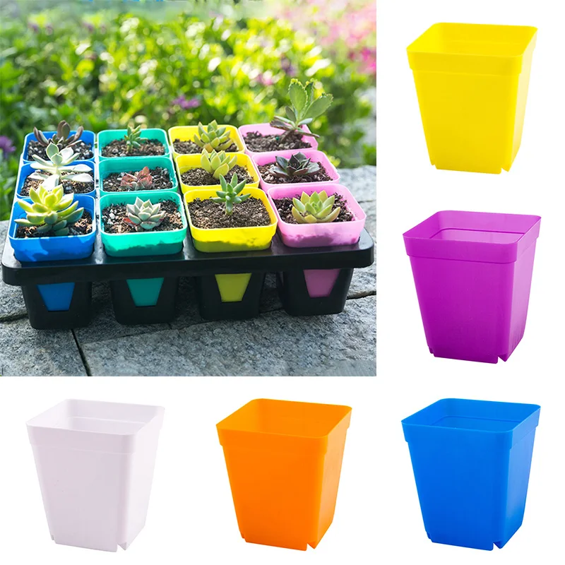 Colorful-Succulent-Small-Square-Flower-Pot-Indoor-Mini-Herb-Plants ...