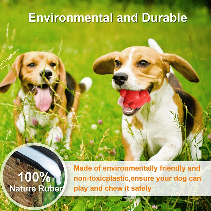 Bumps On Dogs Chin Xr services bumps-on-dogs-chin-xr-services