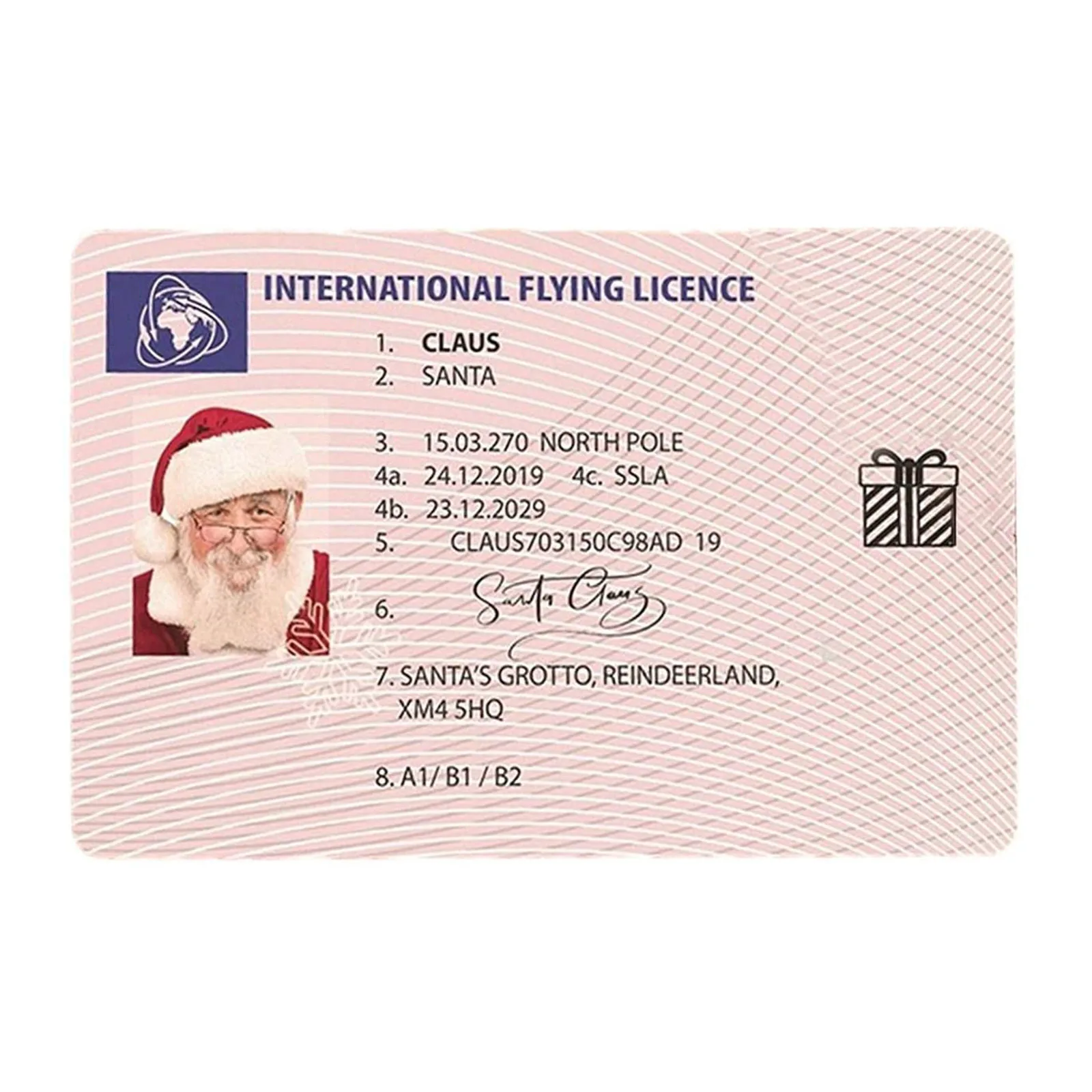 Santa's Driving Licence Packaging & Wrapping Paper, Party & Kids etna ...