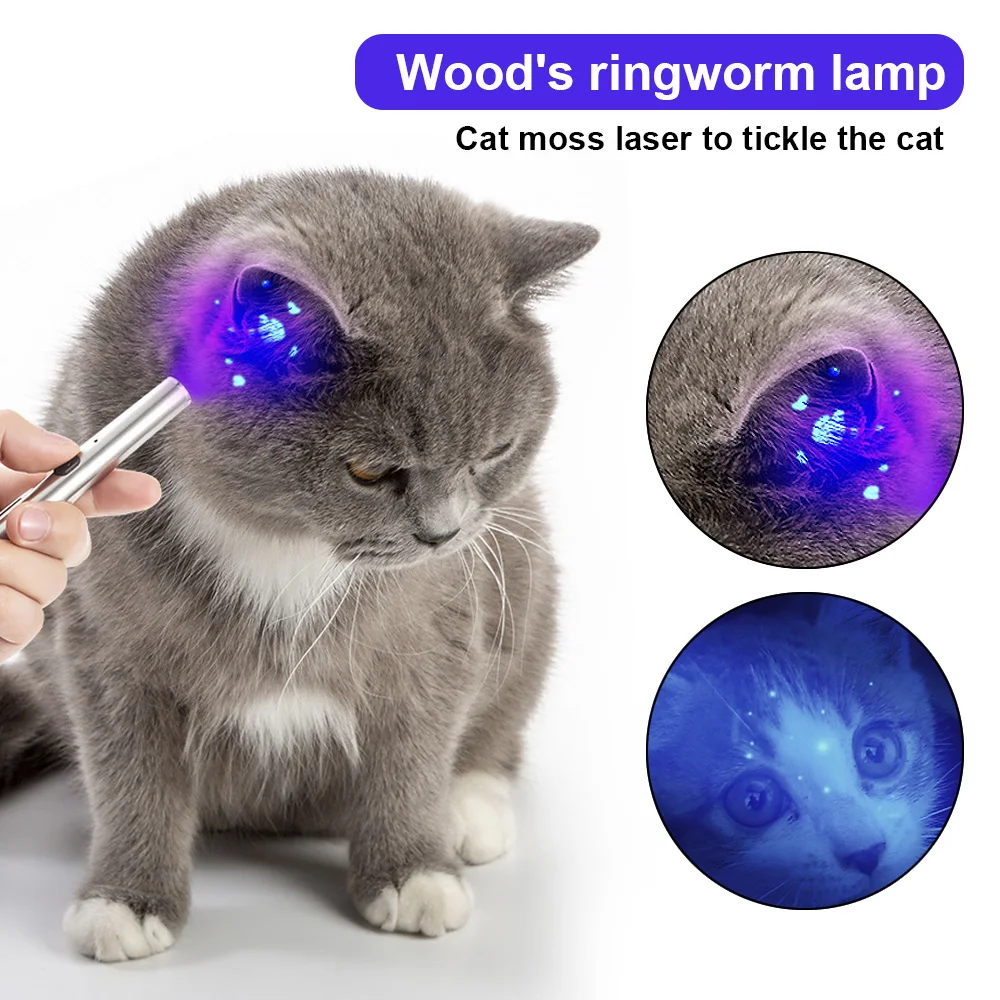 UV-Flashlight-Pet-Fungus-Detection-Cat-Moss-Tinea-Light-Skin ...