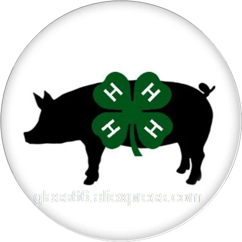 4 H Pig Clip Art