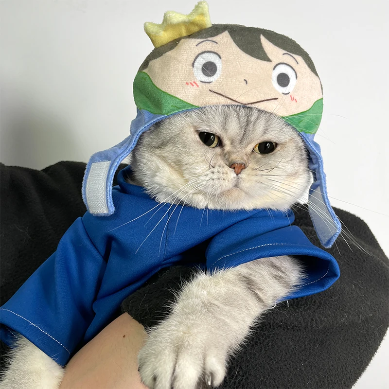 Anime Osama Rankingu Ranking of Kings Bojji DIY Little Cat Hat Headwear ...