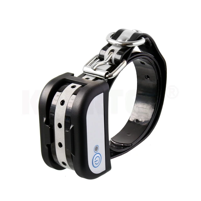 Best Wireless Dog Collar