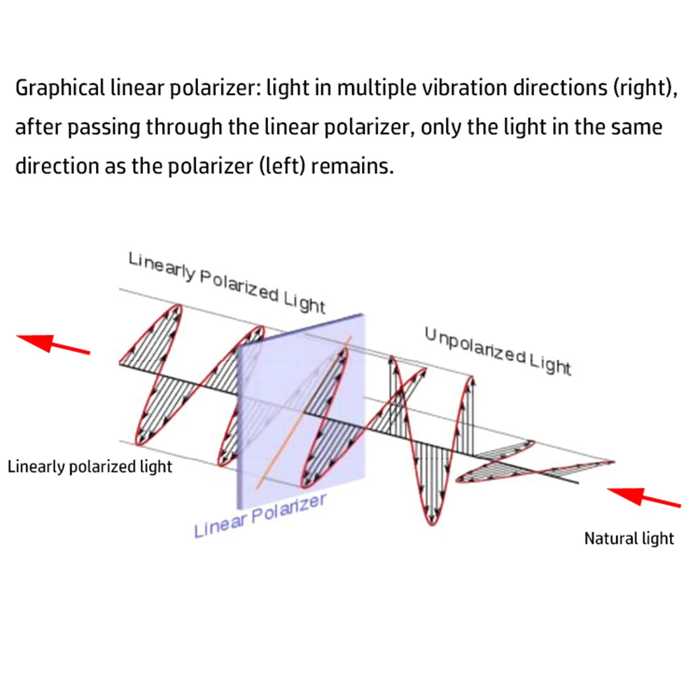 Linearly Polarized Light