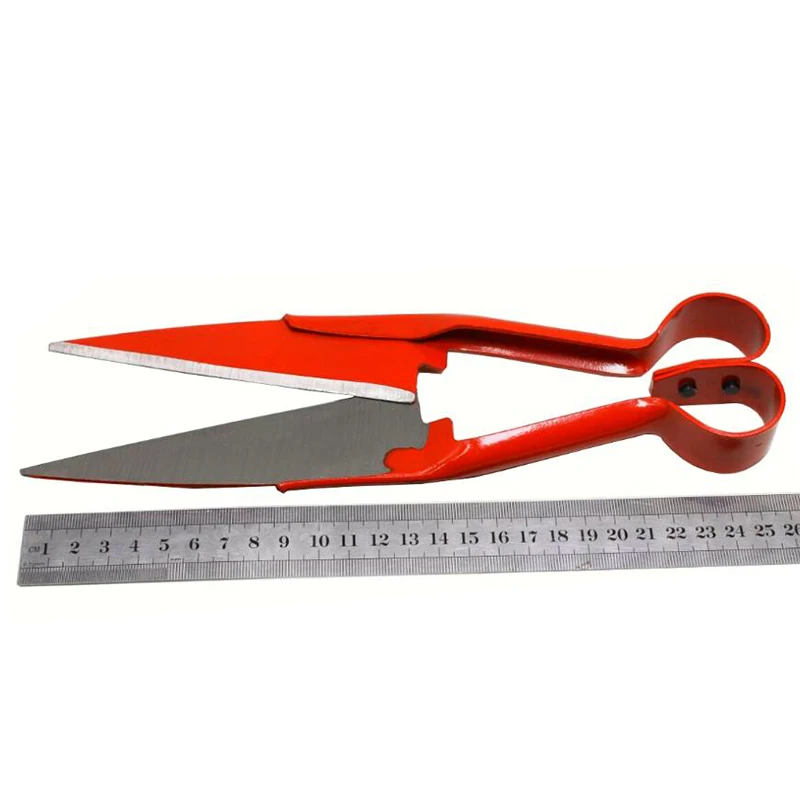 Sheep Shearing Tools