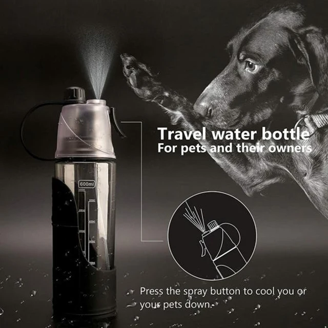 Spraying Water Bottle With Dog