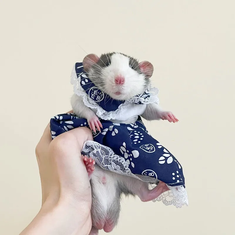 Hamsters In Costumes