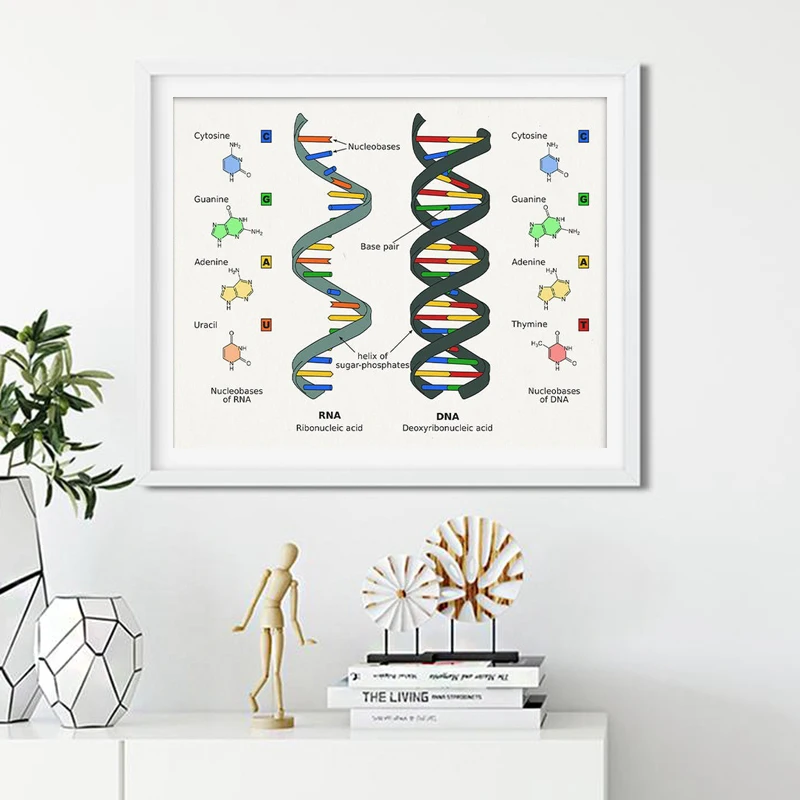 Science Art Posters