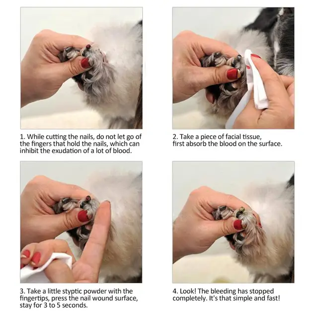 Pet Styptic Stop Bleeding Powder Birds Anti-inflammatory Antibacterial ...