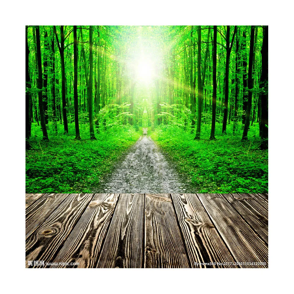 Vinyl Custom Photography Backdrops Props Wood Planks Theme Photo Studio ...