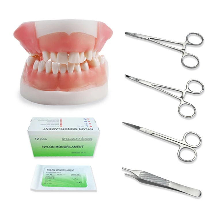 Oral suture practice model with needle and thread periodontal ...