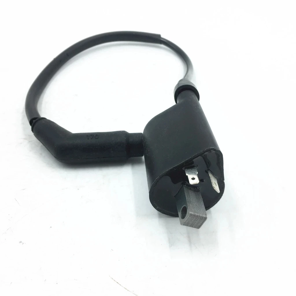 New-Ignition-Coil-and-Wire-fits-for-Linhai-260-300-400-500-520-550 ...