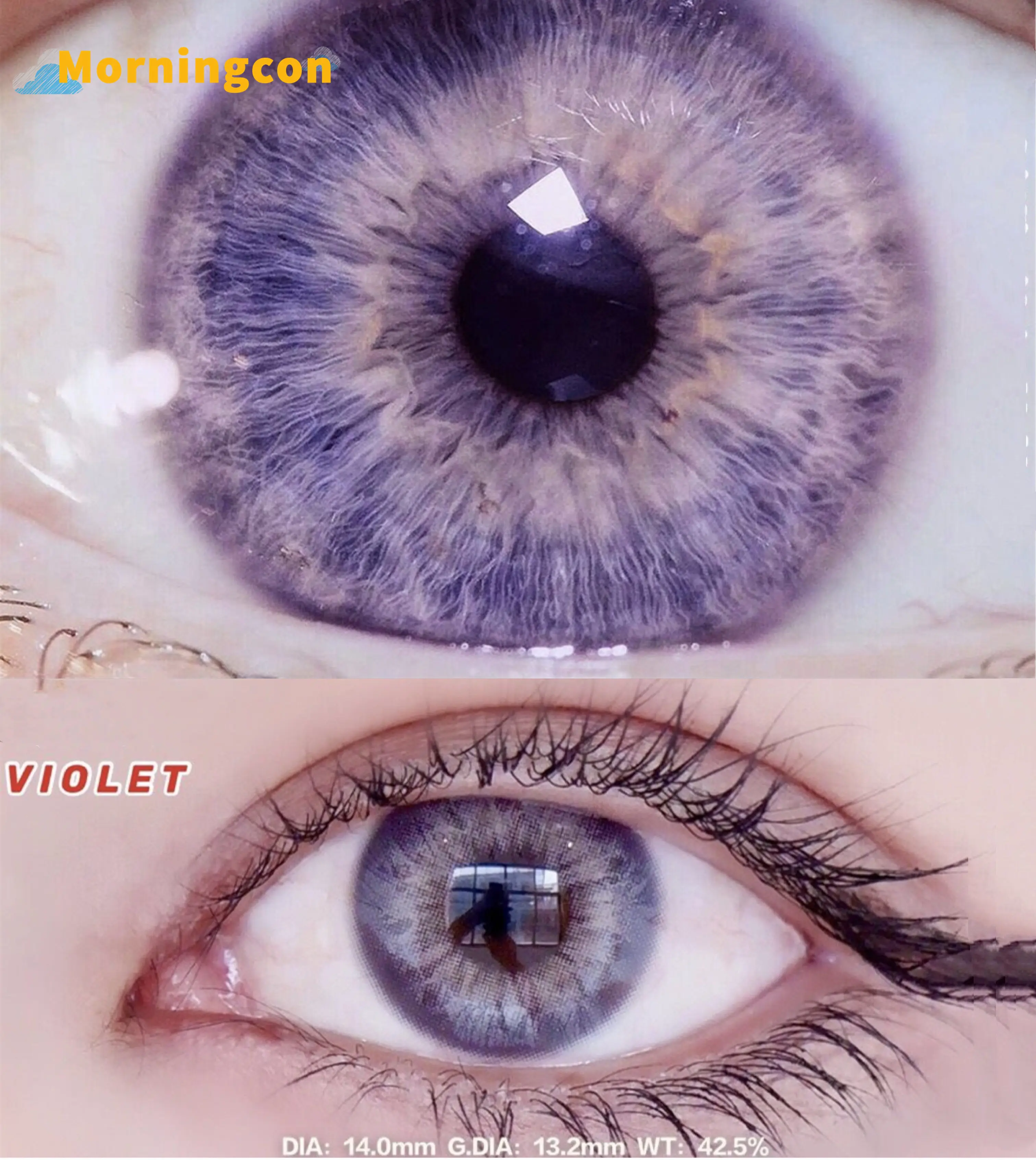 Natural Purple Eye Iris