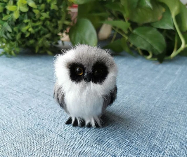 Real Cut Owl
