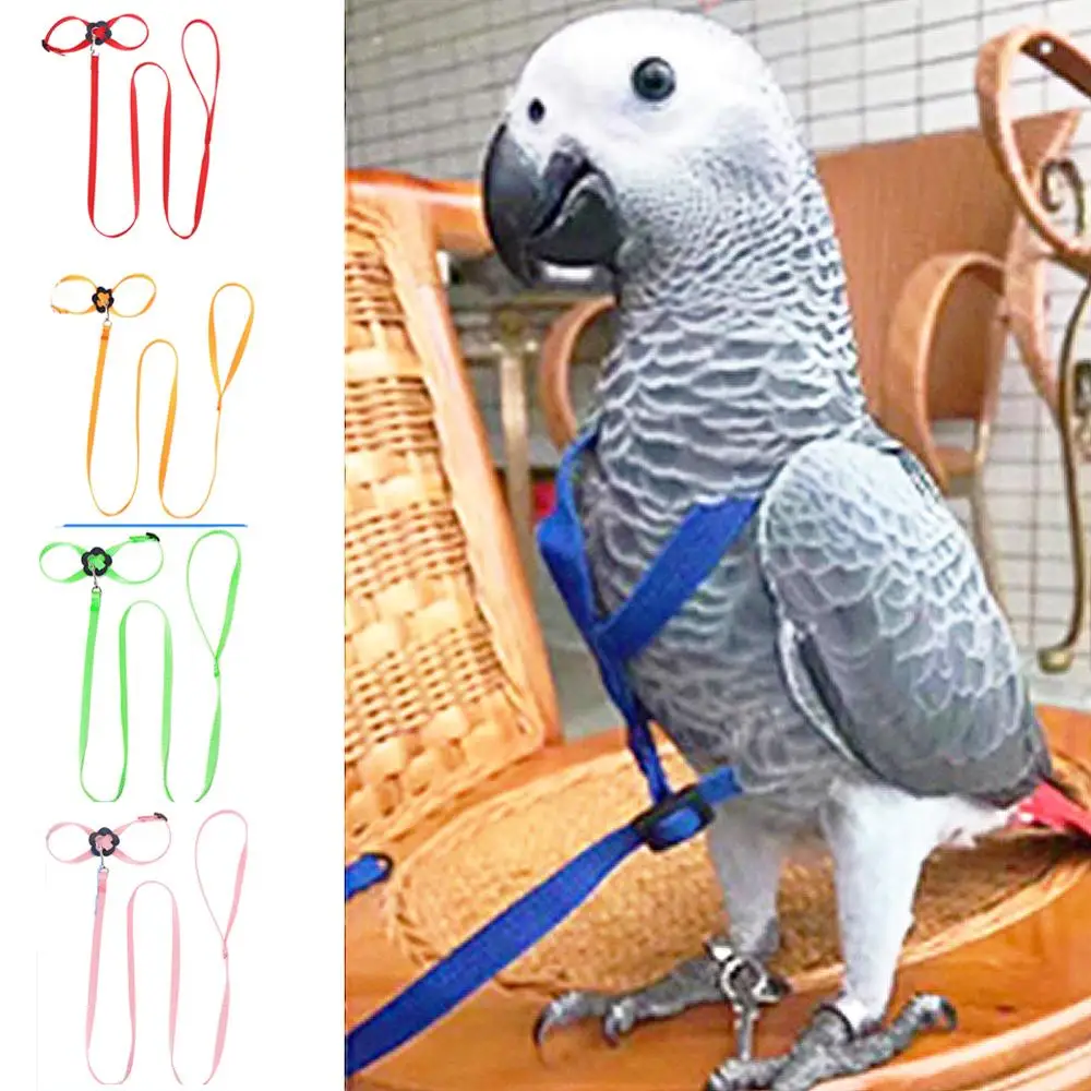 Pet-Bird-Harness-and-Leash-Adjustable-Parrot-Bird-Harness-Leash-Pet ...