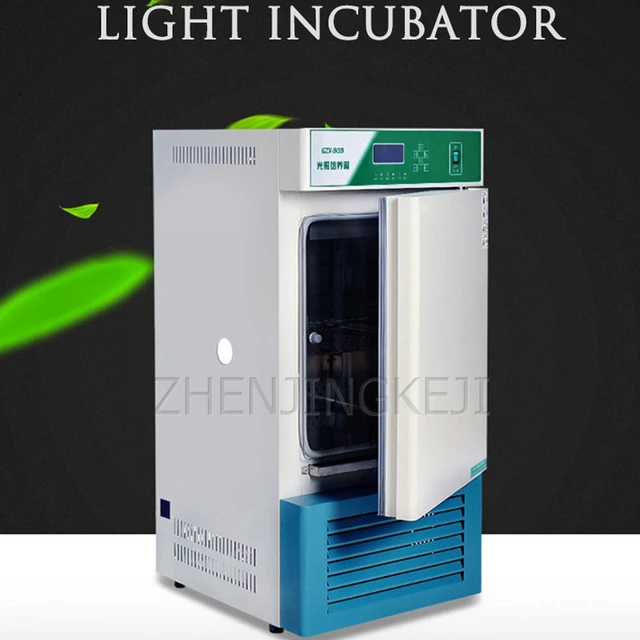 Plant Incubator