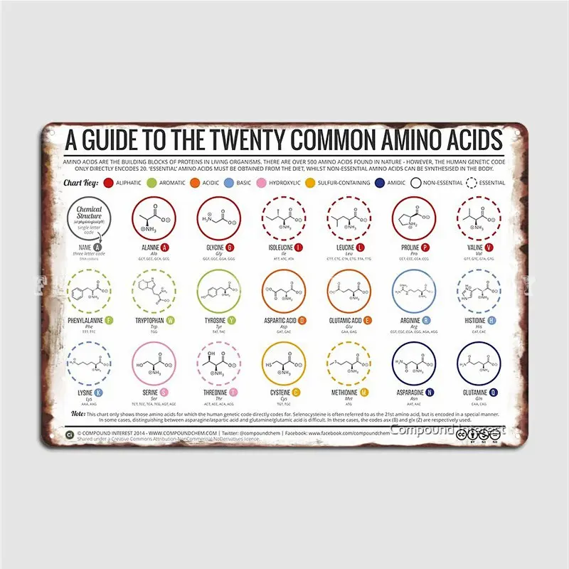 20 Amino Acids Chart