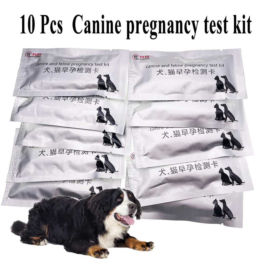 When Can You Do A Dog Pregnancy Test