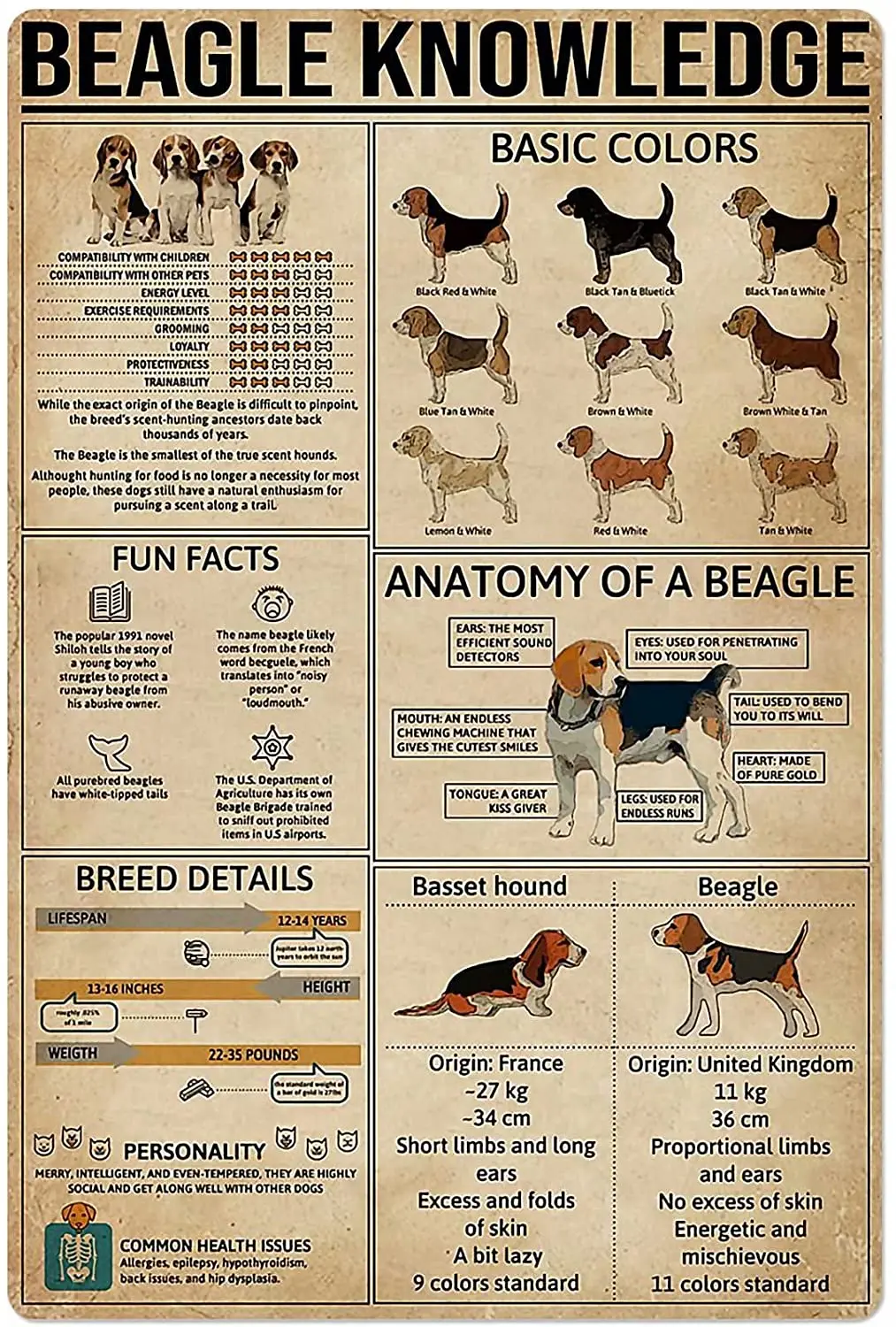 Great Dane Color Chart