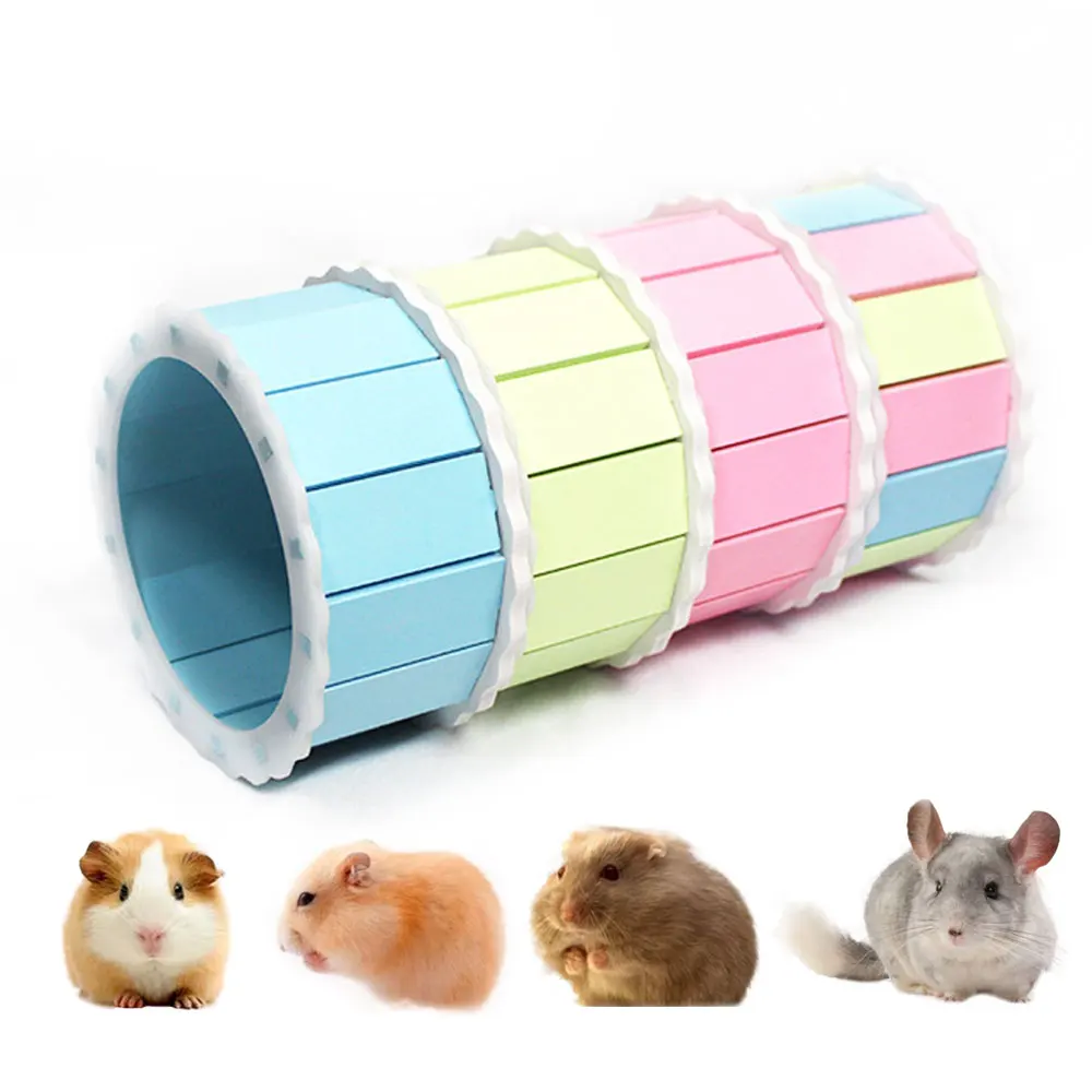 Exercise Wheel For Guinea Pigs at Garrett Kirk blog