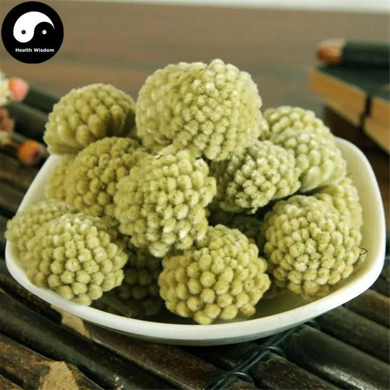 Oriental Paperbush Flower, Flos Edgeworthia Chrysantha, Lv Luo Hua ...