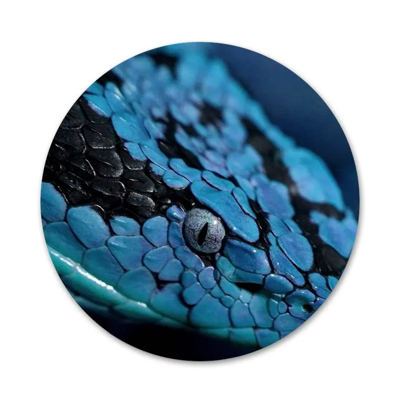 Black Python Wallpaper