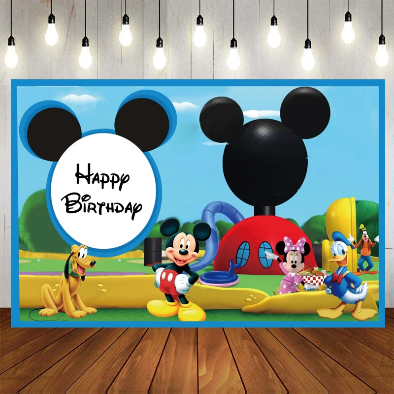 Mickey Minnie Mouse Birthday