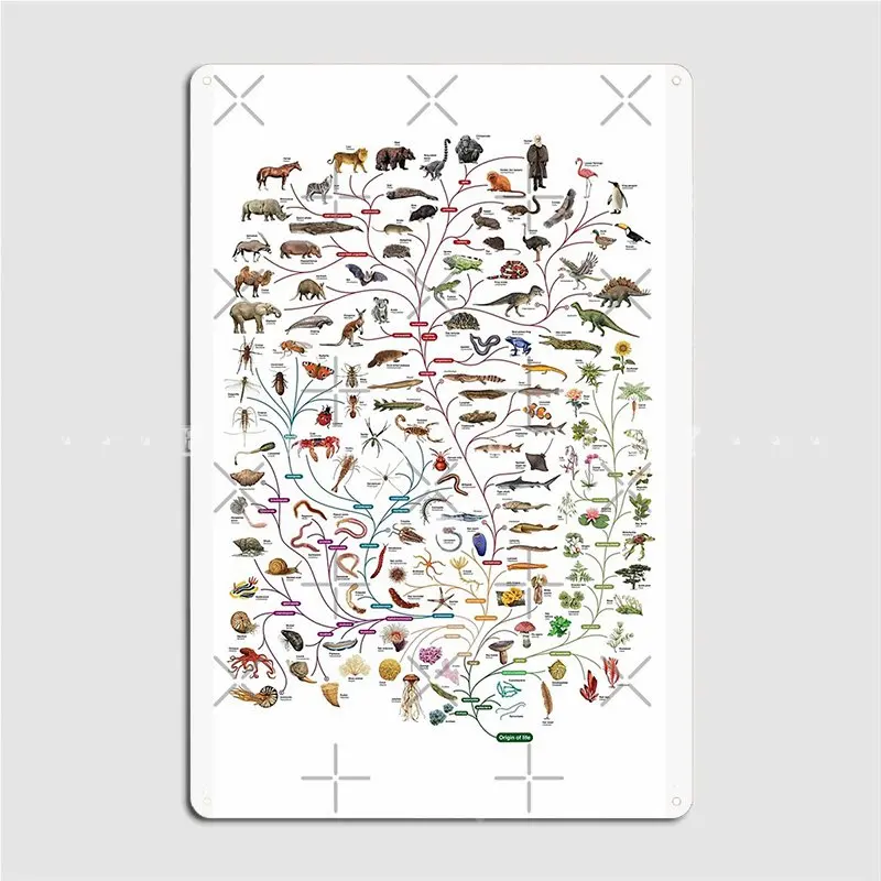Tree Of Life Evolution Poster