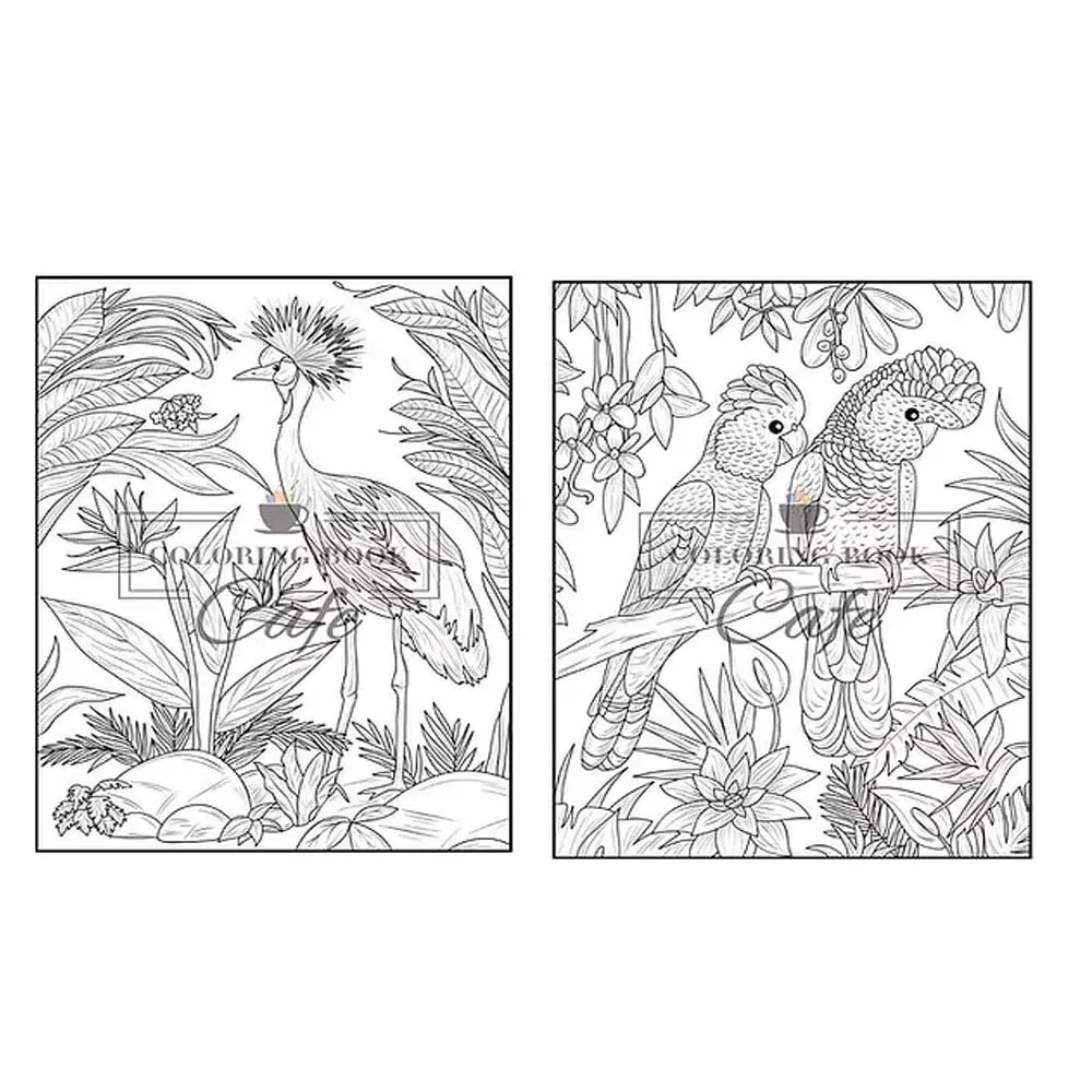 Adult Coloring Pages Tropical