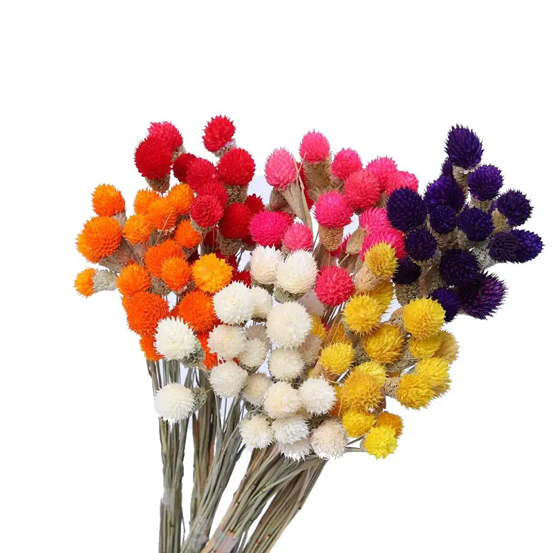 Dry Flowers Decoration | Artificial Dried Flora | Dry Natural Florals ...