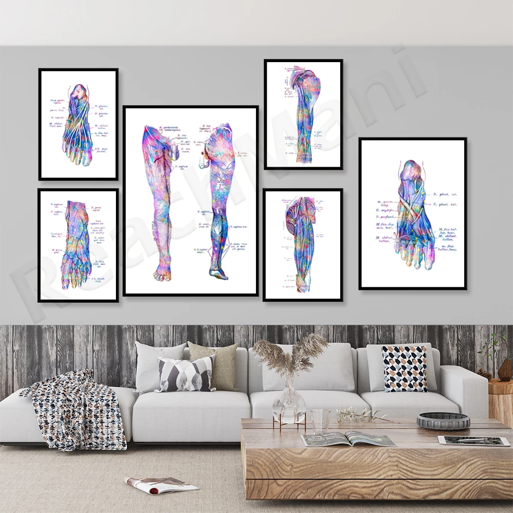 Anatomie-drucke-fu-anatomie-kunst-podiatrists-geschenke-fu-muscle ...