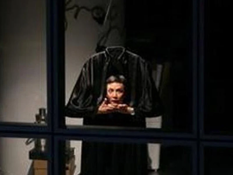 Head-shift-Magic-Tricks-Stage-Magia-Scary-Magic-Head-Movement-Magie ...