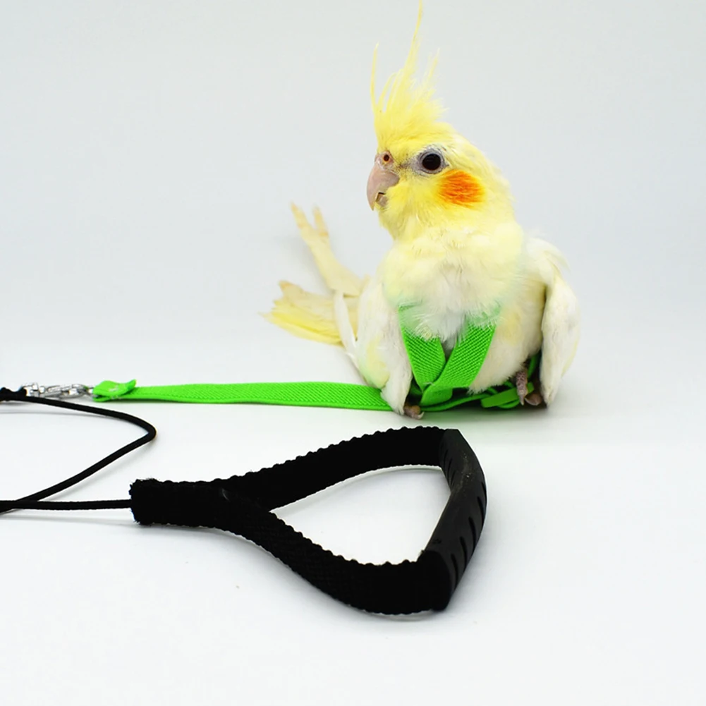 Bird Harness And Leash