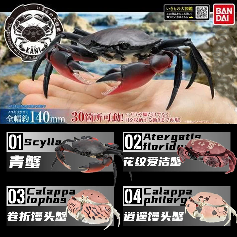 Bandai Genuine Gashapon Toys Scylla Atergatis Foridus Calappa Lophos ...