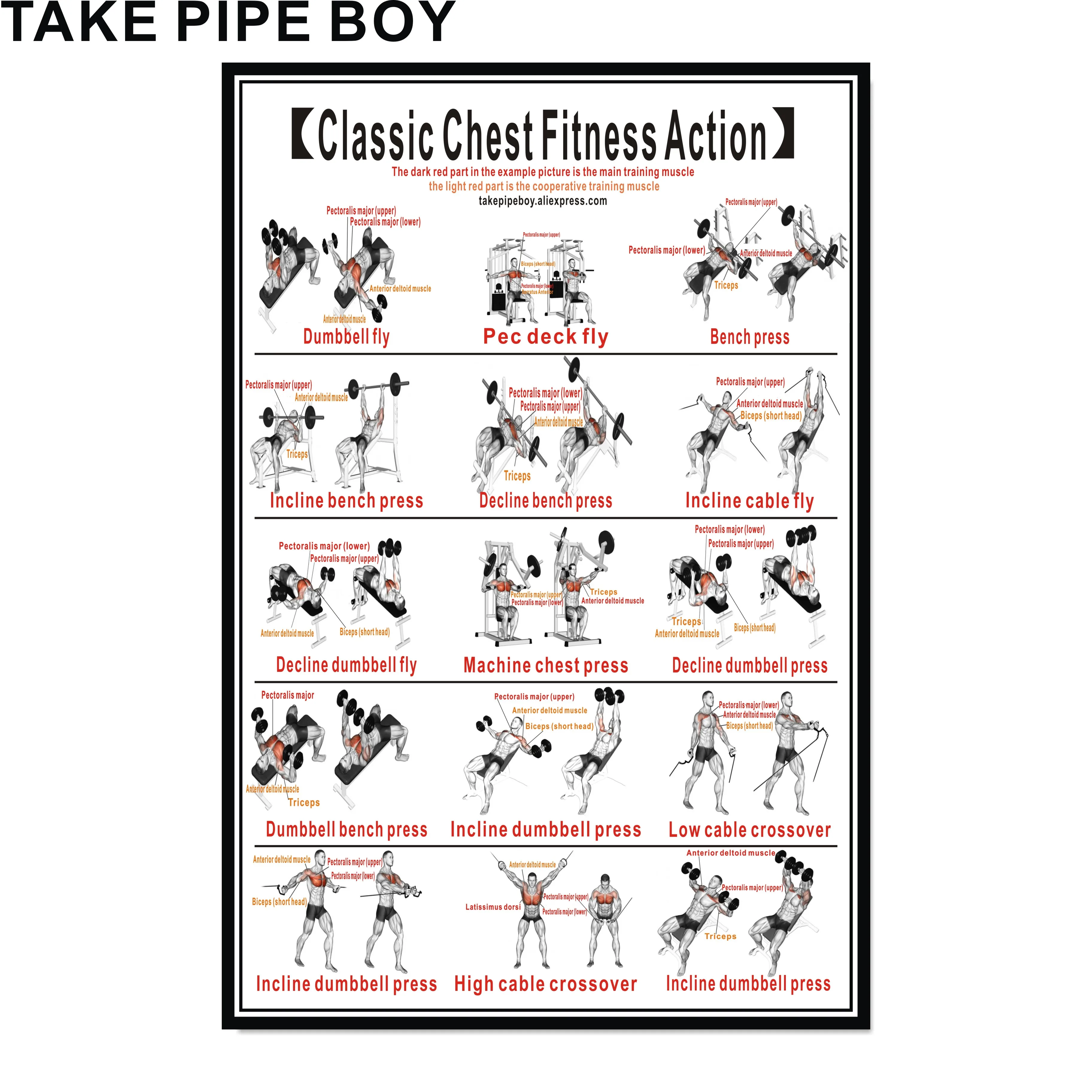 Chest Exercises Chart