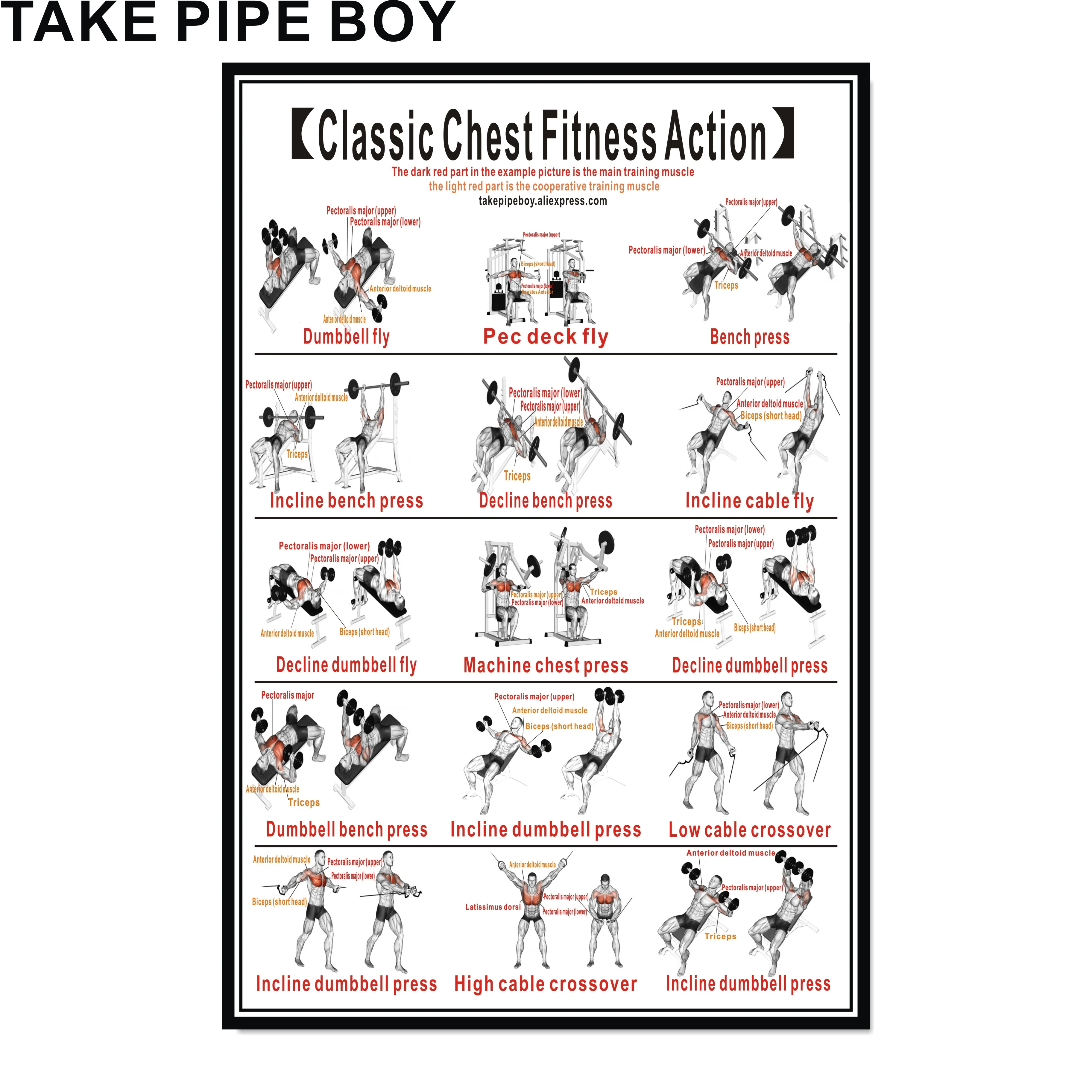 Workout Posters For Home Gym Dumbbell Exercise Posters For Chest ...