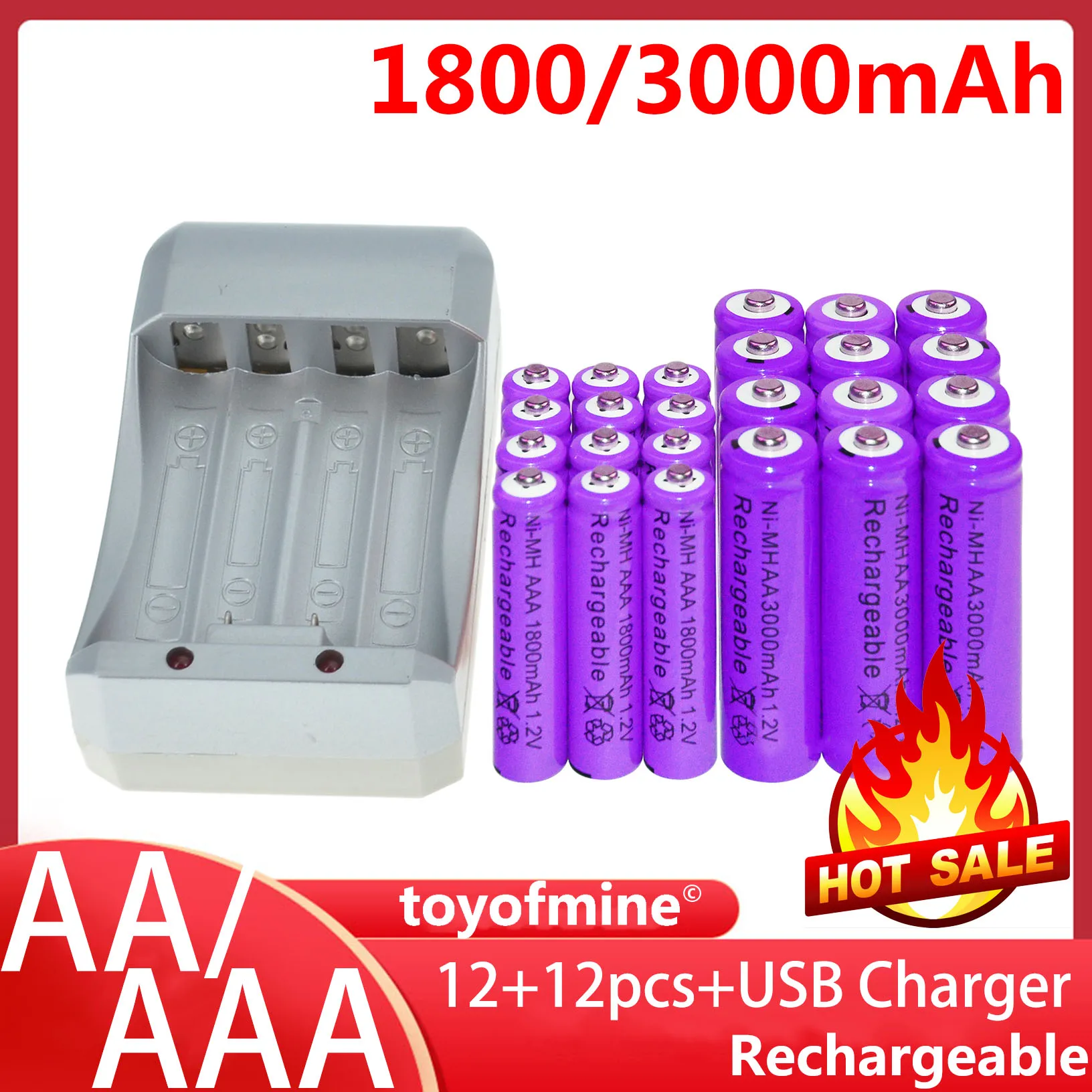 12x AA 3000mAh + 12x AAA 1800mAh 1.2V Ni MH violet batterie ...