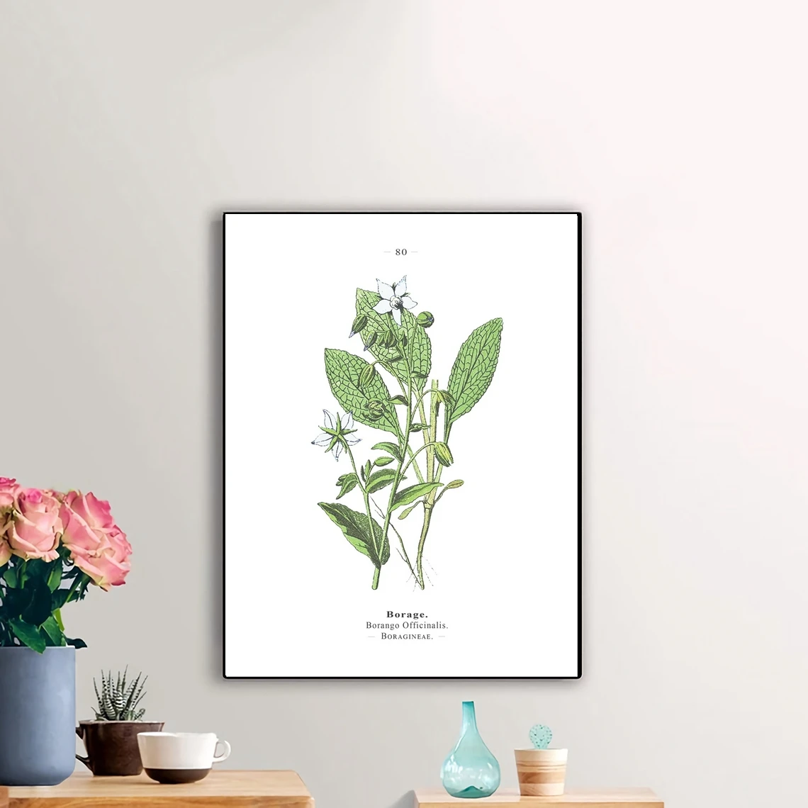 Floral Scientific Illustration
