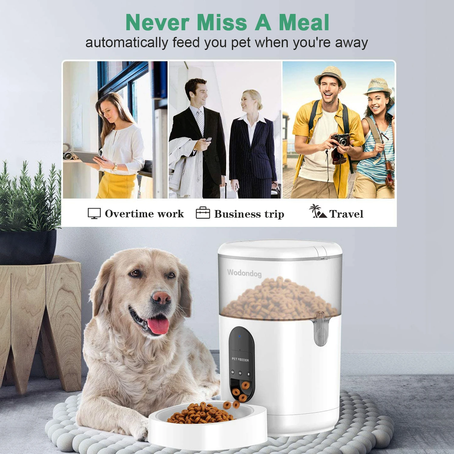 WiFi Automatic Feeder with Timer Function and Remote Control of The App ...