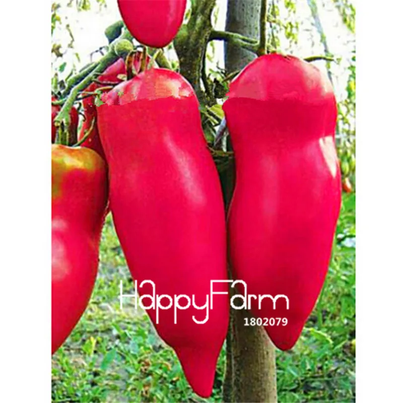 New Fresh 20 Pcs/Lot Rainbow Tomato Plants, bonsai organic vegetable ...