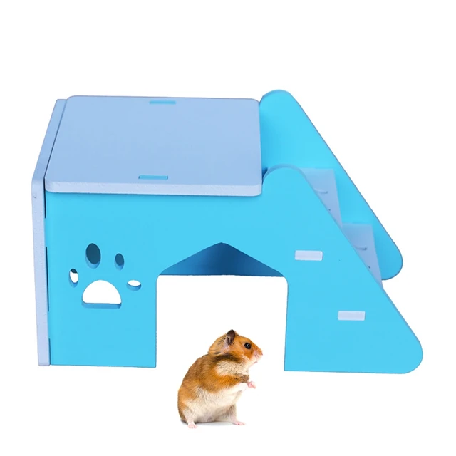 Hamster House Design