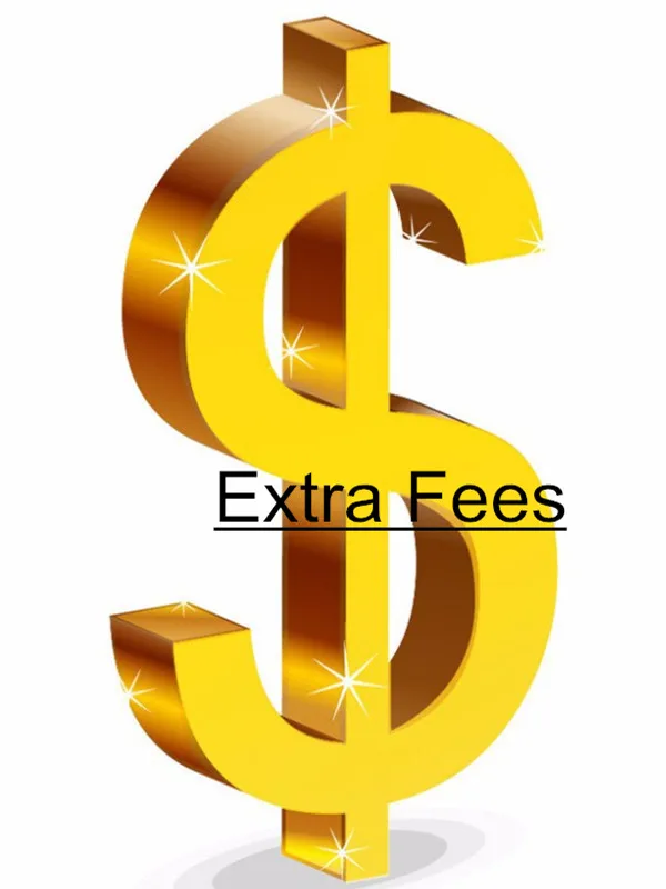 Extra Fee/Extra expense/Premium/Price difference/Postage/Shipping cost ...